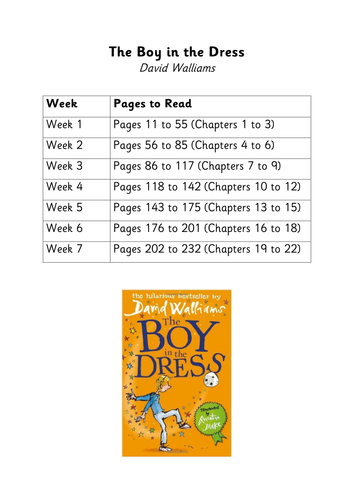 The Boy in the Dress by David Walliams - Unit of Work | Teaching Resources