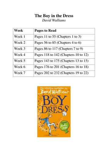 The Boy in the Dress by David Walliams - Unit of Work | Teaching Resources
