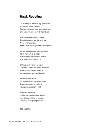 Analysis and Annotation of Hawk Roosting | Teaching Resources