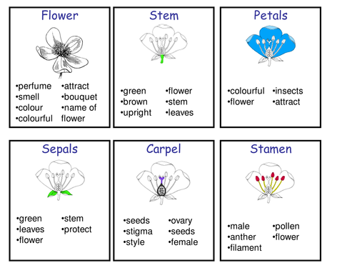 KS3 Unit 8B Biology - Classification (8a,Biodiversity, 8b Reproduction ...