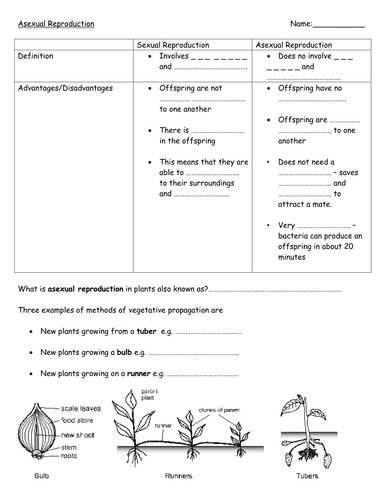 KS3 Unit 8B Biology - Classification (8a,Biodiversity, 8b Reproduction ...