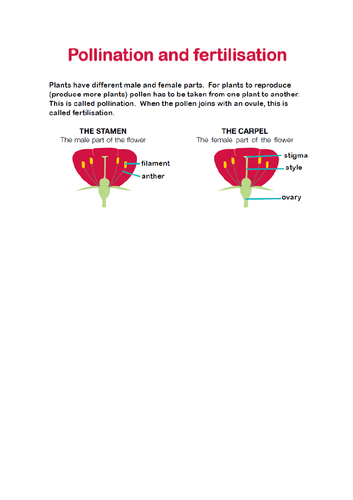 KS3 Unit 8B Biology - Classification (8a,Biodiversity, 8b Reproduction ...