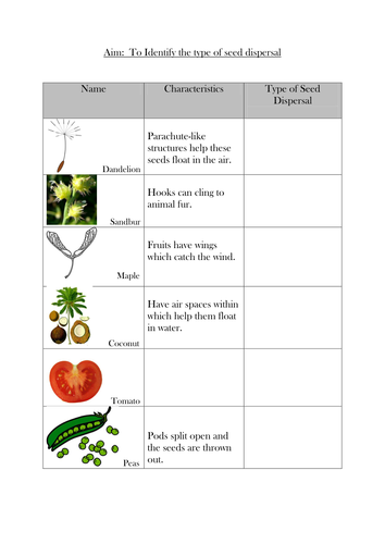 Activate 1: B1 3.8 Seed Dispersal | Teaching Resources