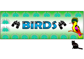 Birds Themed Pack | Teaching Resources