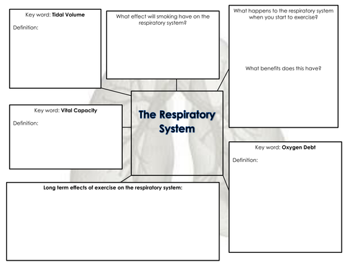 Edexcel GCSE PE (2012 spec) Respiratory System resources | Teaching ...