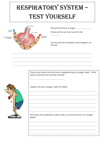 Edexcel GCSE PE (2012 spec) Respiratory System resources | Teaching ...