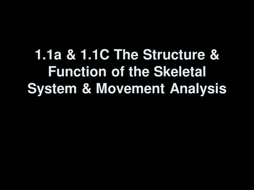 OCR GCSE PE New Specification 2016 - Skeleton and Movement Analysis ...