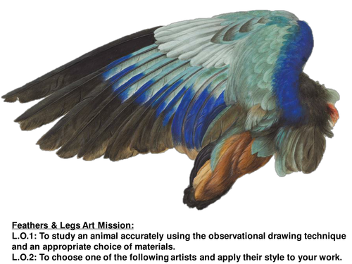 Animal Drawing & Artist Research GCSE 2017 | Teaching Resources