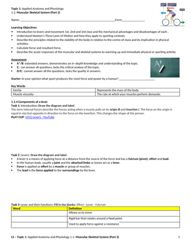 A-level PE EDEXCEL (Spec 2016) 1.1: Muscular Skeletal System (Part 2 ...