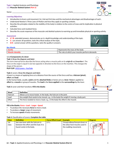 A-level PE EDEXCEL (Spec 2016) 1.1: Muscular Skeletal System (Part 2 ...
