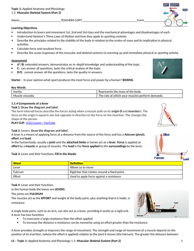 A-level PE EDEXCEL (Spec 2016) 1.1: Muscular Skeletal System (Part 2 ...