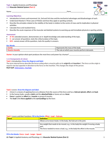 A-level PE EDEXCEL (Spec 2016) 1.1: Muscular Skeletal System (Part 2 ...