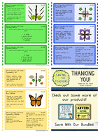 Outdoor Symmetry Activities | Teaching Resources