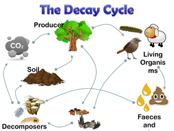 New AQA 2016 Material Cycling - The Decay Cycle | Teaching Resources