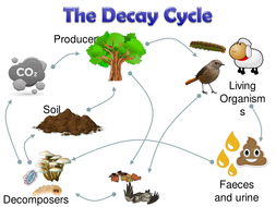 New AQA 2016 Material Cycling - The Decay Cycle | Teaching Resources
