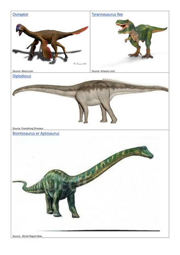 Dinosaur Activity Pack | Teaching Resources