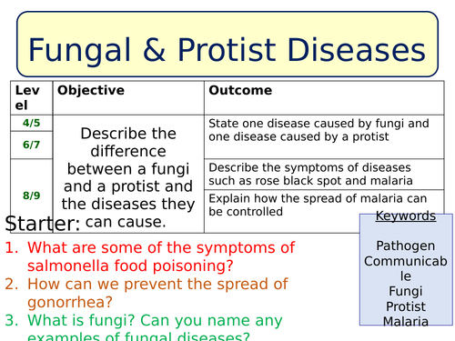 NEW AQA GCSE (2016) Biology lesson - Fungal & Protist Diseases ...
