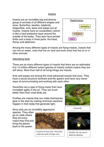 Classification comprehension worksheet set (10 of each + questions ...