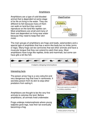 Classification comprehension worksheet set (10 of each + questions ...