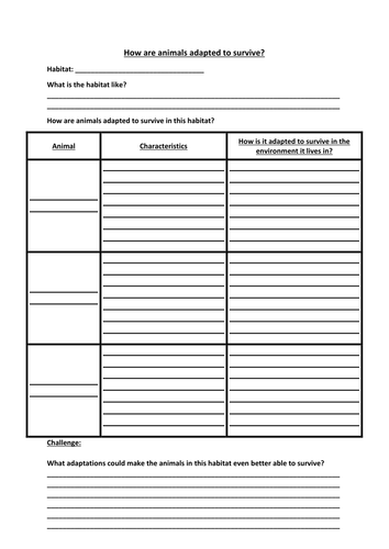 Animal Habitats and Adaptation Full Lesson | Teaching Resources