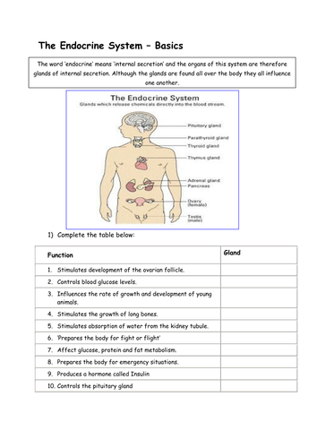NEW OCR Biology A 5.4.1 Endocrine Communication | Teaching Resources