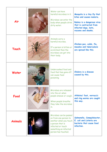 AQA- Infection & Response- Communicable Diseases | Teaching Resources