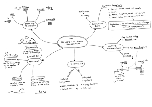 Mind map for B4a: Ecology in the Local Environment OCR Gateway (Legacy ...