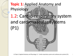 A-level PE EDEXCEL (Spec 2016) 1.2: Cardio-Respiratory System ...