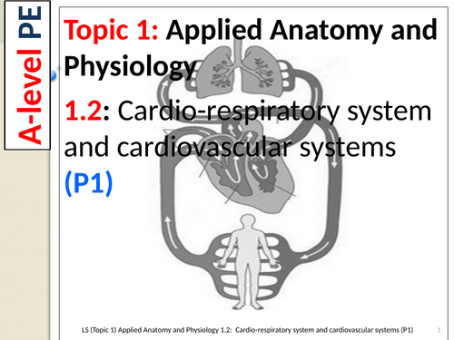 A-level Edexcel Spec 2016: Topic 1 Applied Anatomy & Physiology ...