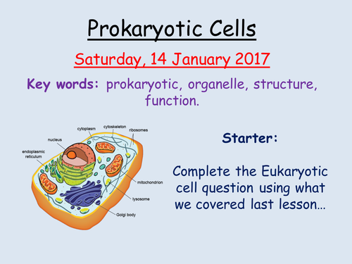 Prokaryotic Cells | Teaching Resources