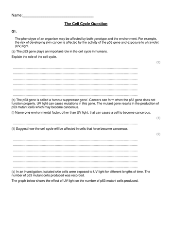 The Cell Cycle | Teaching Resources