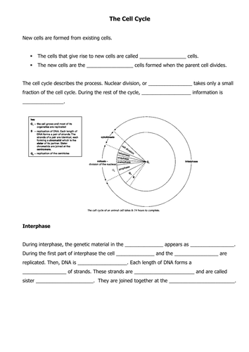 The Cell Cycle | Teaching Resources