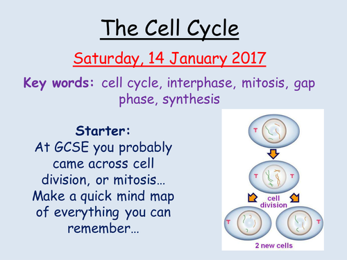 The Cell Cycle | Teaching Resources