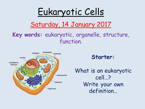 Eukaryotic Cells | Teaching Resources