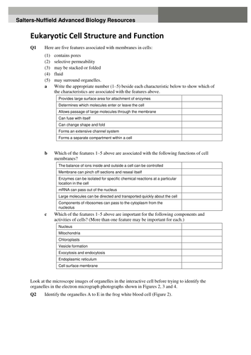 Eukaryotic Cells | Teaching Resources