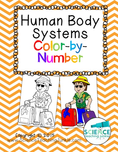 Human Body Systems Color-by-Number | Teaching Resources