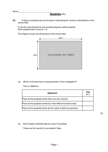 Quadrats- GCSE | Teaching Resources