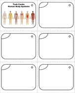 Human Body Systems Task Cards | Teaching Resources