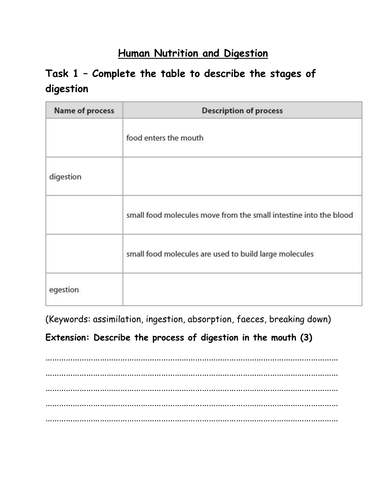 GCSE Biology - Human Nutrition and Digestion Worksheet (with answers ...