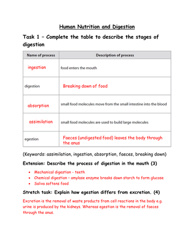 GCSE Biology - Human Nutrition and Digestion Worksheet (with answers ...
