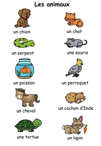 French Vocabulary Sheets: Les animaux | Teaching Resources