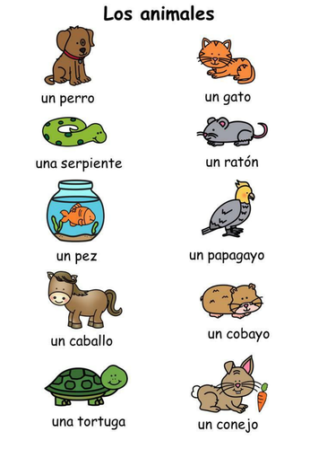 Spanish Vocabulary Sheet: los animales | Teaching Resources