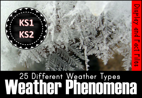 MEGA Science Week Bundle | Teaching Resources