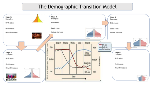 Population Structure - The Demographic Transition Model - Carousel ...
