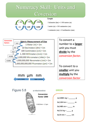 Numeracy Skills Sheets for GCSE Science AQA | Teaching Resources