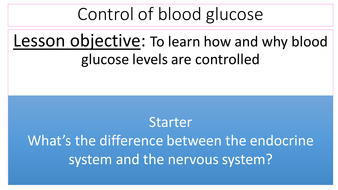 Control of Blood Glucose - Lesson Presentation, A3 Lesson Map ...