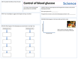 Control of Blood Glucose - Lesson Presentation, A3 Lesson Map ...