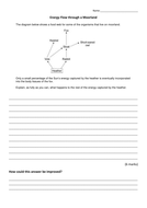 New AQA GCSE Biology Trophic Levels Lesson | Teaching Resources