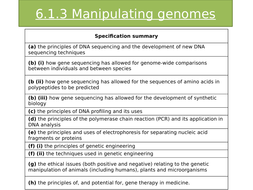 6.1.3 Manipulating Genomes OCR A level Biology (12-14 lessons ...