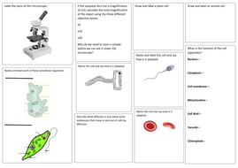KS3 Cells revision sheet | Teaching Resources
